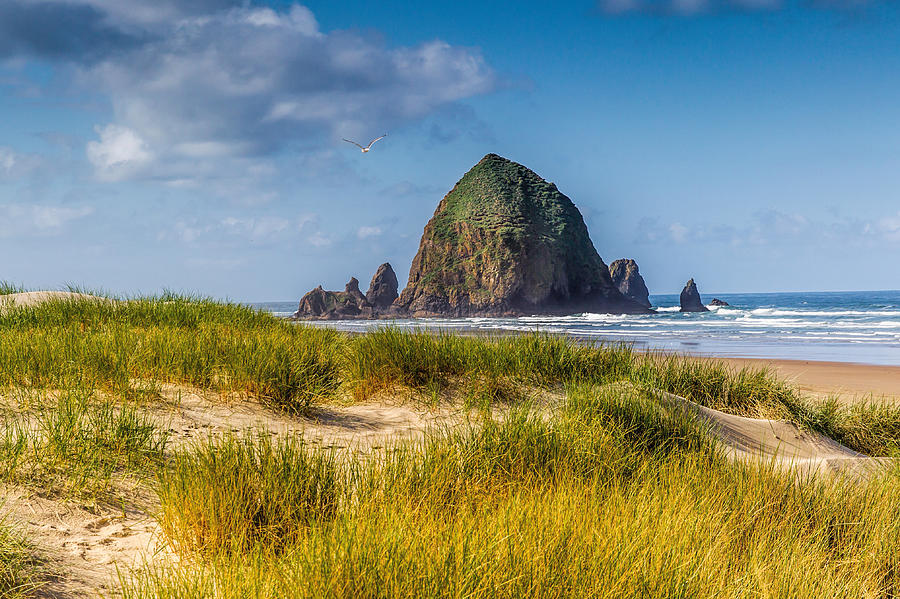 Summer at Cannon Beach Photograph by Mike Centioli - Pixels