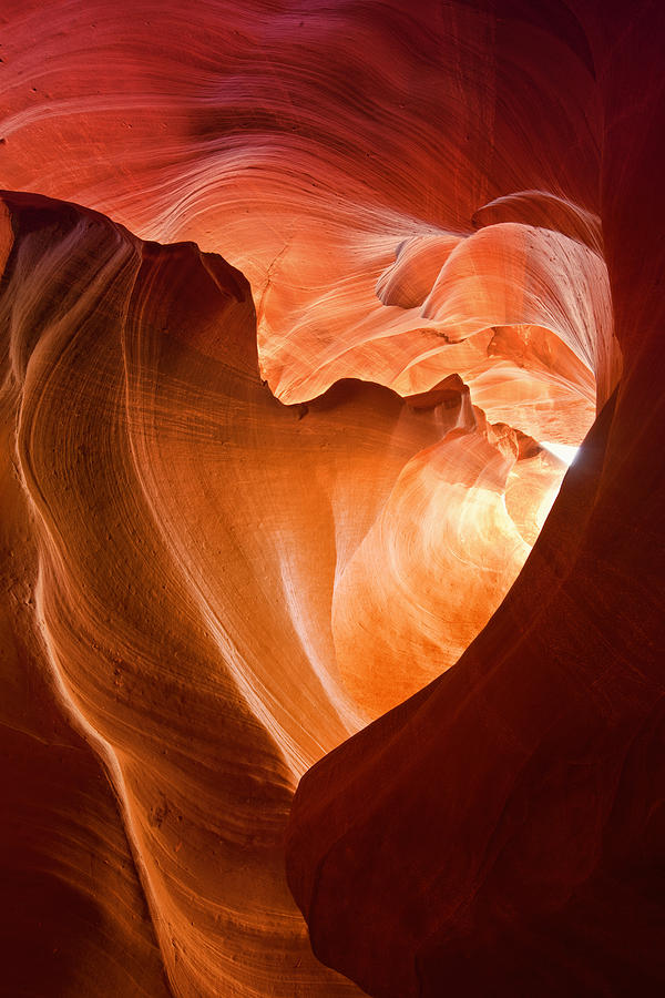 Heart Room Photograph by Quynh Ton - Fine Art America