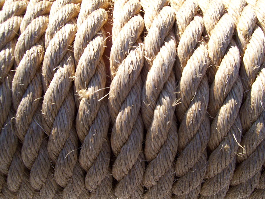 Heavy hawser line Photograph by Terry Cobb - Fine Art America