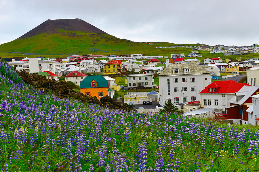 Heimaey and the Eldfell Volcano Photograph by Jeffrey Hamilton - Fine ...