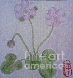 Hepatica Relief by Lilyth - Fine Art America