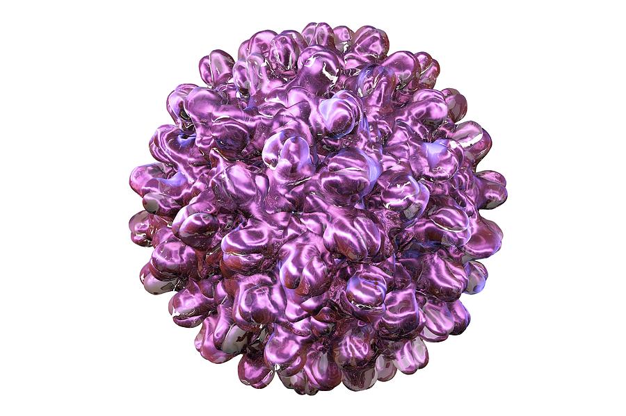 Hepatitis B Virus By Science Photo Library