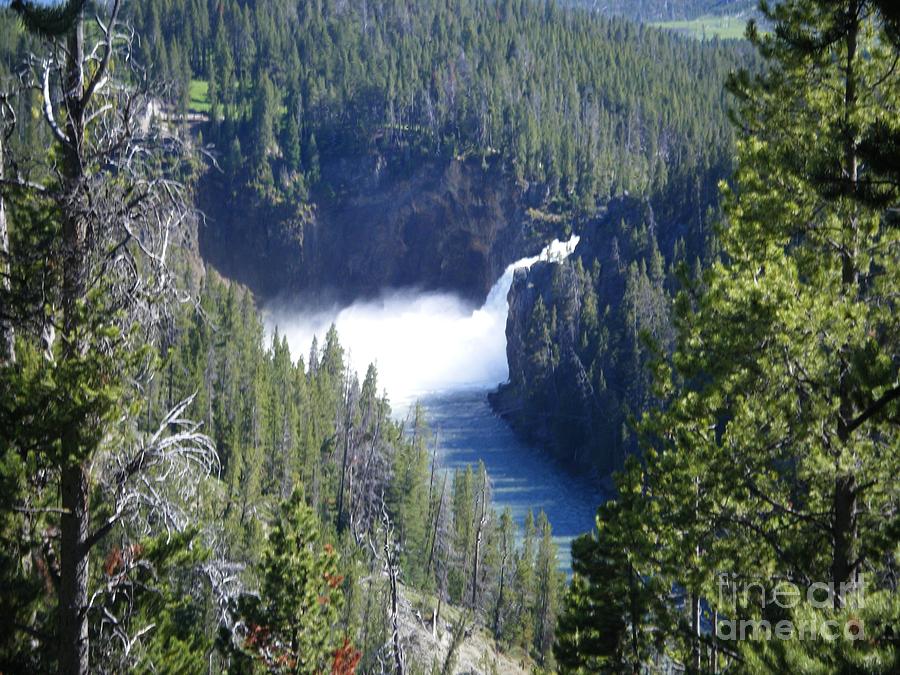 Hidden Photograph by Emma Stapleton - Fine Art America