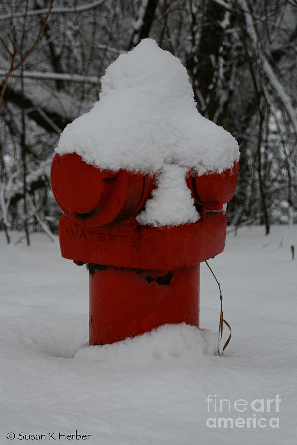 Hidden Hydrant Photograph by Susan Herber - Pixels