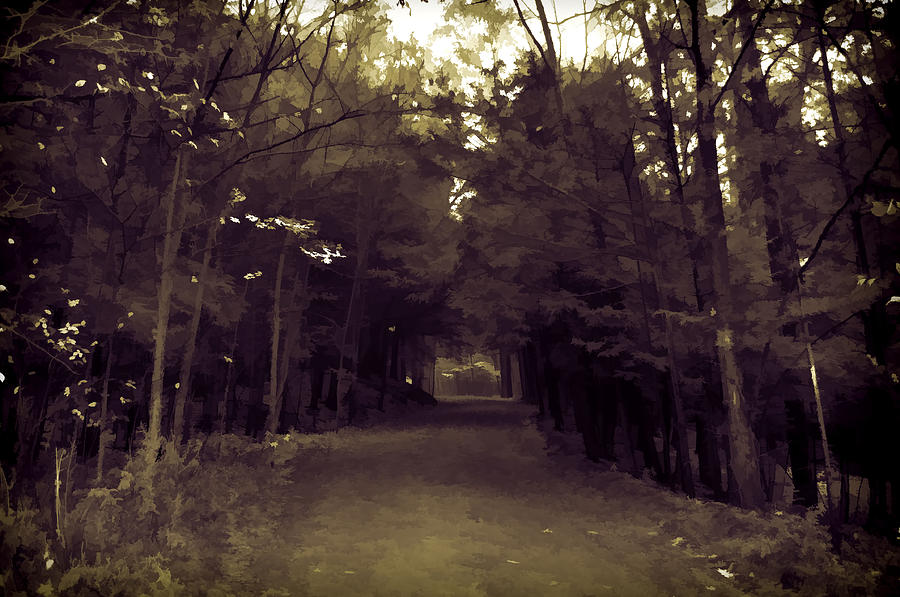 Hidden Path Photograph by Tina Baxter - Fine Art America