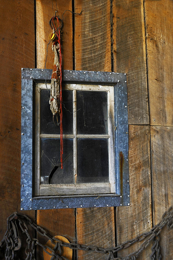 Hidden View Photograph by David Lunde - Fine Art America