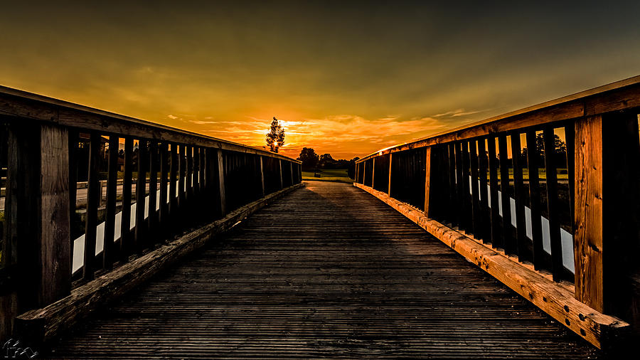 Hide Photograph by Florian Mauerhofer - Fine Art America