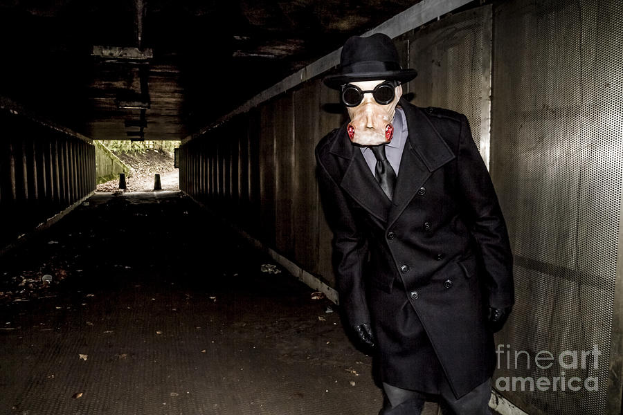 Hiding underground Photograph by John Cox - Fine Art America