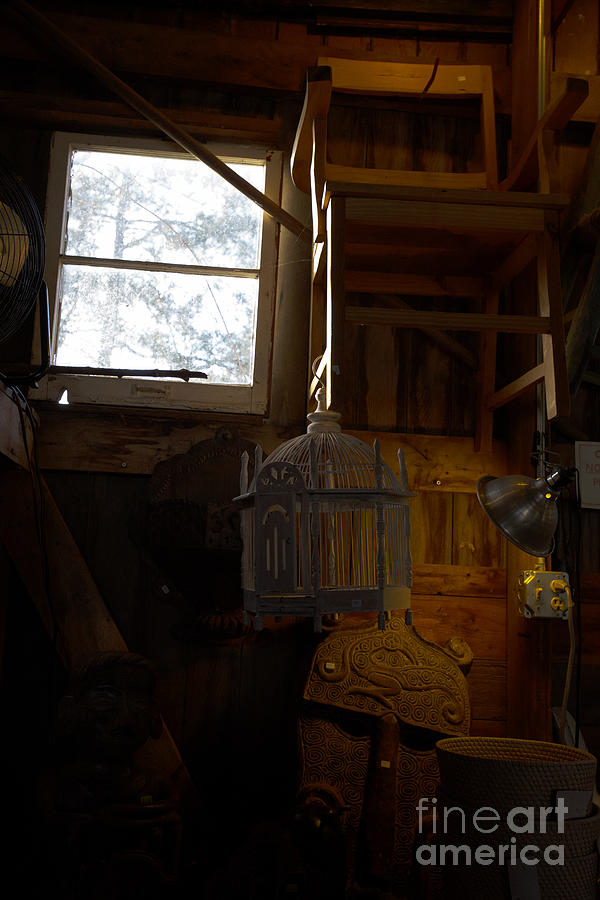 High Window View Photograph by David Bearden - Fine Art America