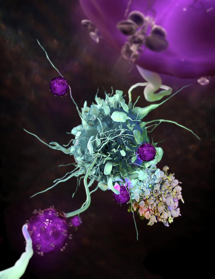 Hiv Infection Photograph by As&k Visual Science/science Photo Library ...