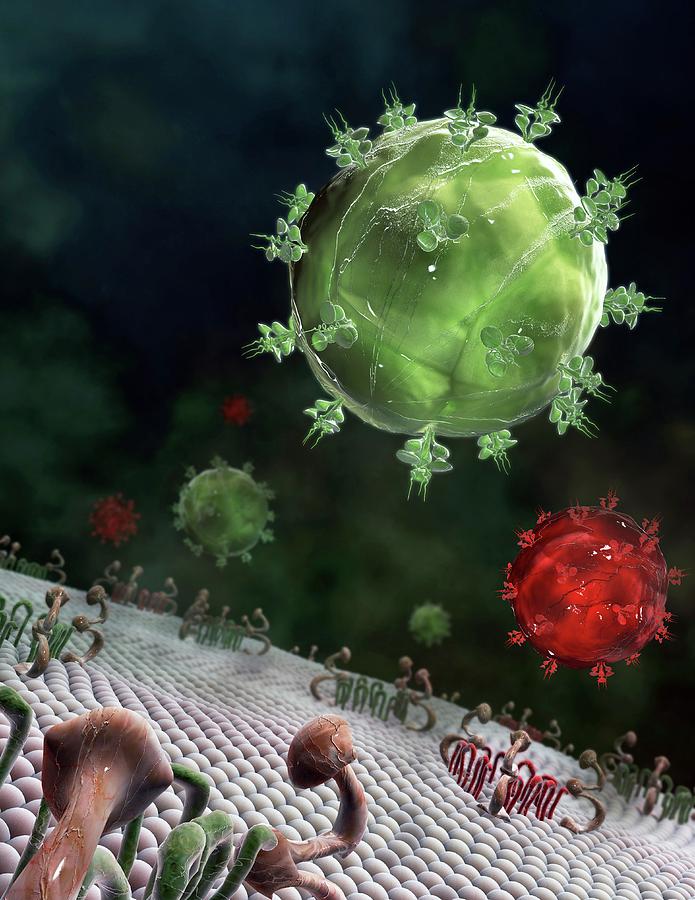 Hiv Particles by Science Photo Library