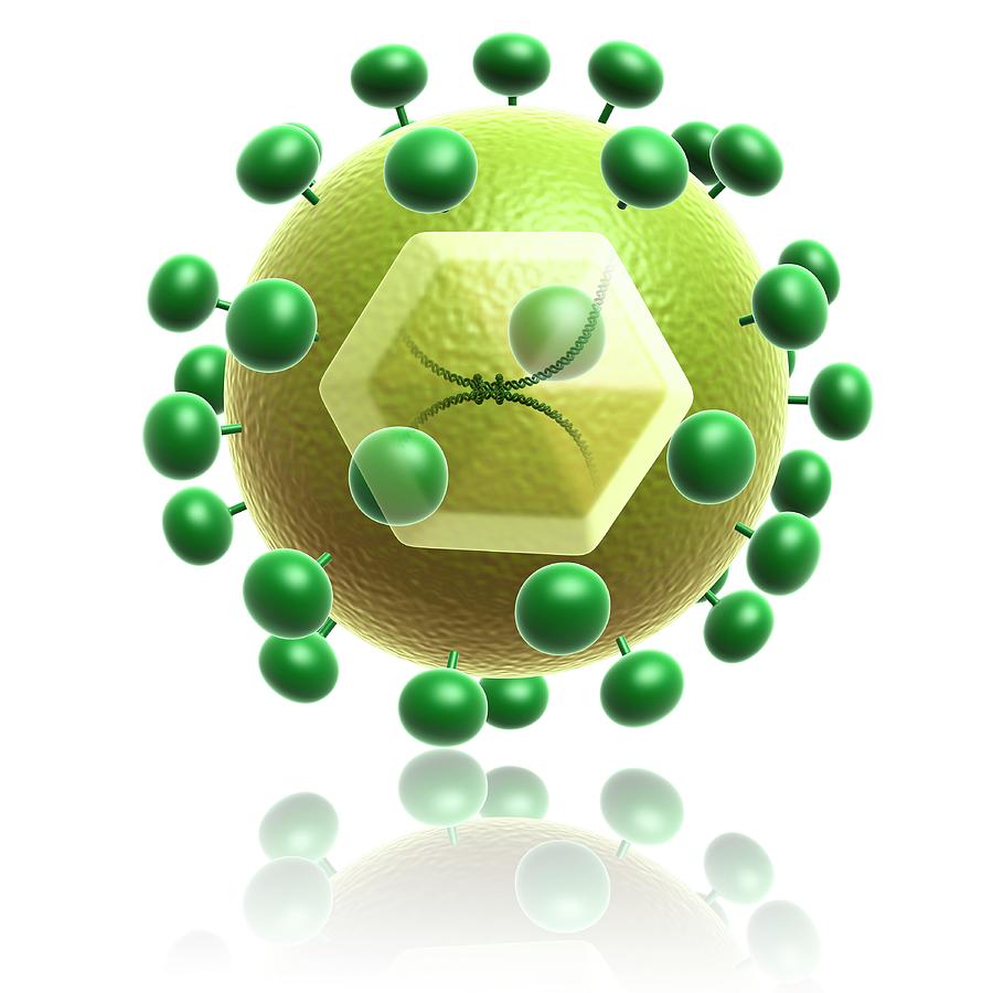 Hiv Virus Particle Photograph by Pixologicstudio/science Photo Library - Fine Art America