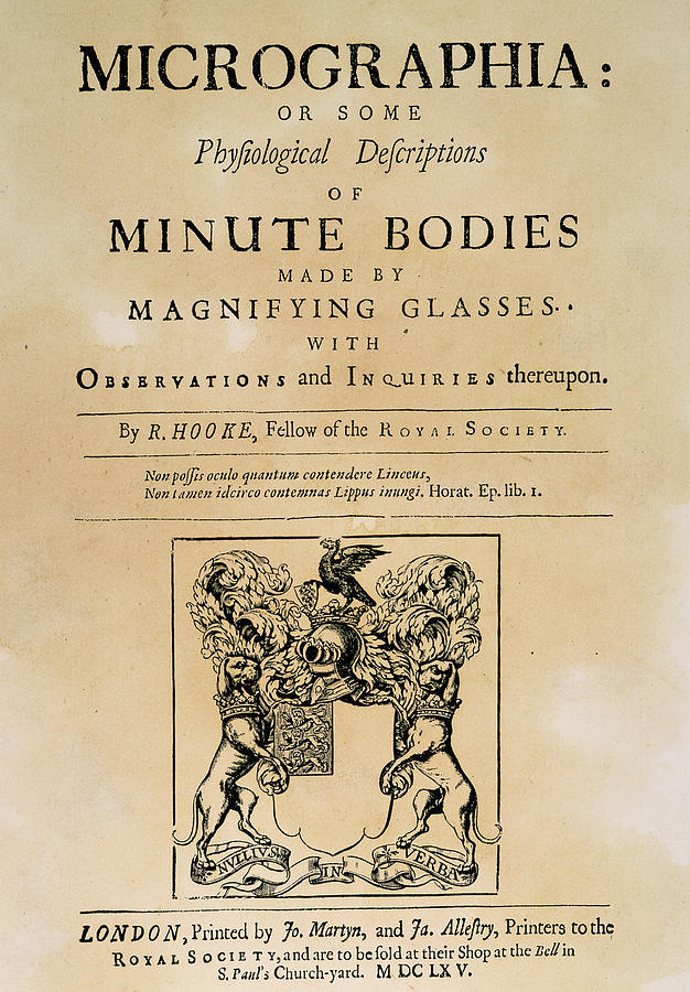 Hooke's Micrographia Drawing by Granger - Fine Art America