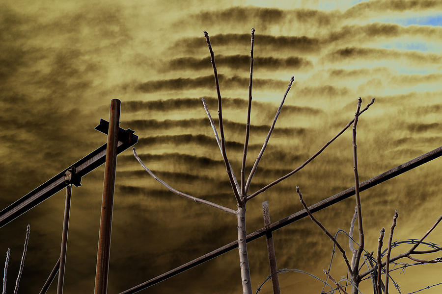 Hope Photograph by William Loeb - Fine Art America