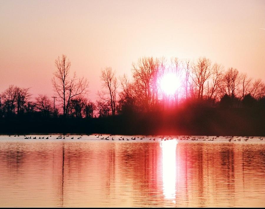 Horizon Photograph by Sierra Rodgers - Fine Art America