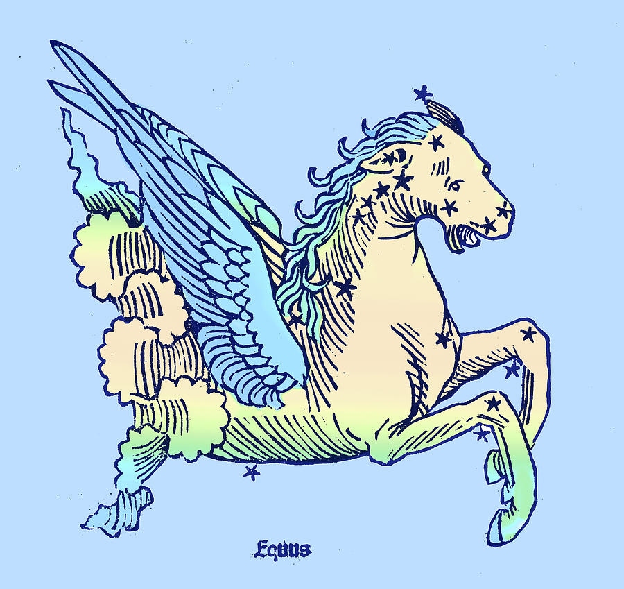 Horse, Equuleus Constellation Photograph by Science Source - Fine Art ...