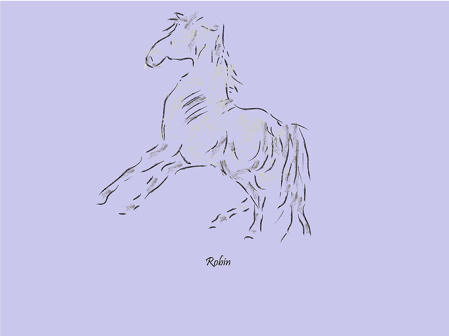 Horse Drawing by Rabin Stha - Fine Art America
