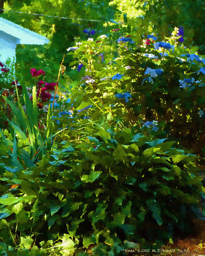 Hosta Painting by Michael DArienzo - Pixels
