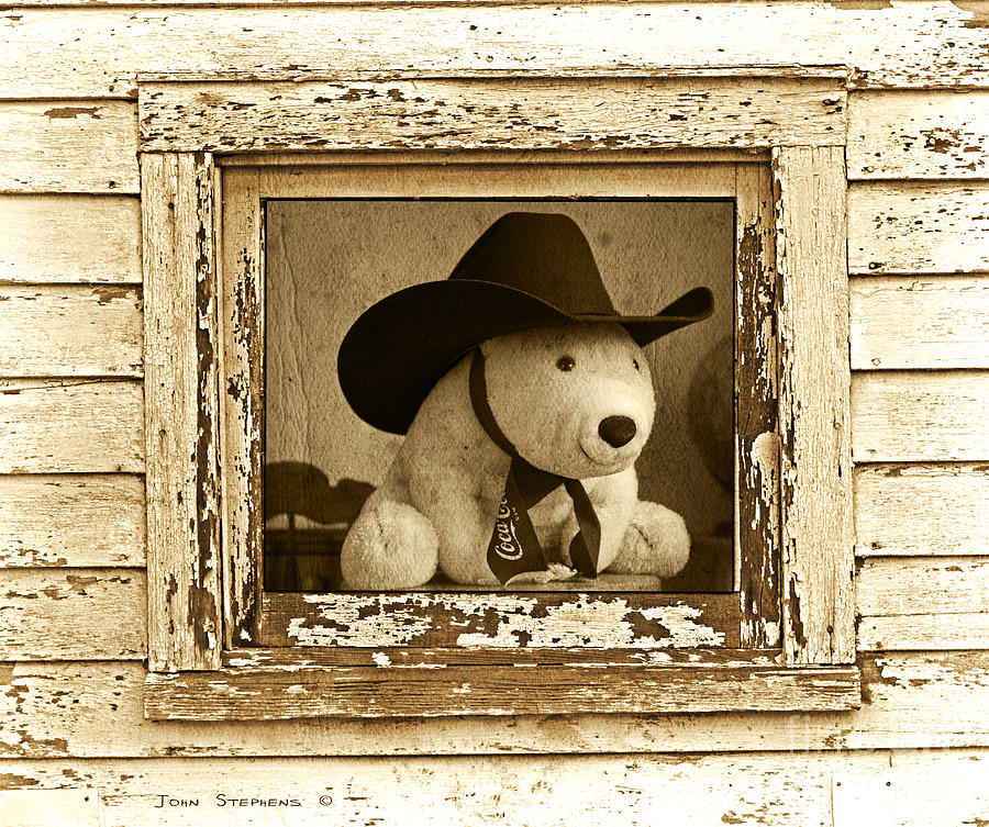 Howdy Partner Coca-Cola Bear Photograph by John C Stephens - Fine Art ...