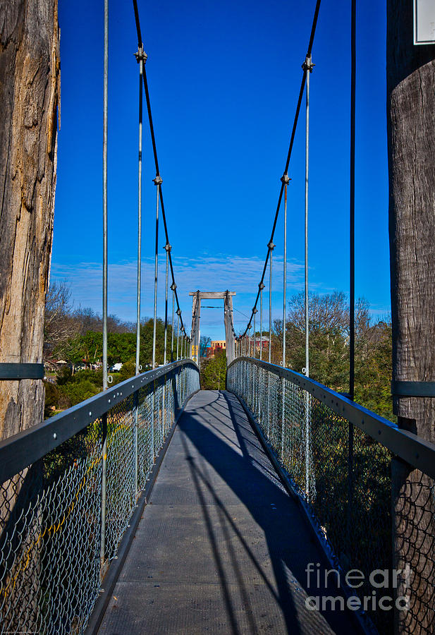 Howitt Park Swing Bridge Photograph by Alexander Whadcoat | Fine Art ...