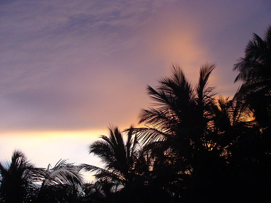 Hues of Sunset Photograph by Nitha Sashi - Fine Art America