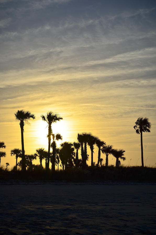 Huguenot Beach 11 Photograph by Becky Anders - Fine Art America