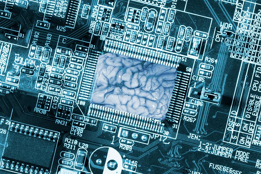 Human Brain And Computer Circuit Board Photograph by Christian Lagerek ...