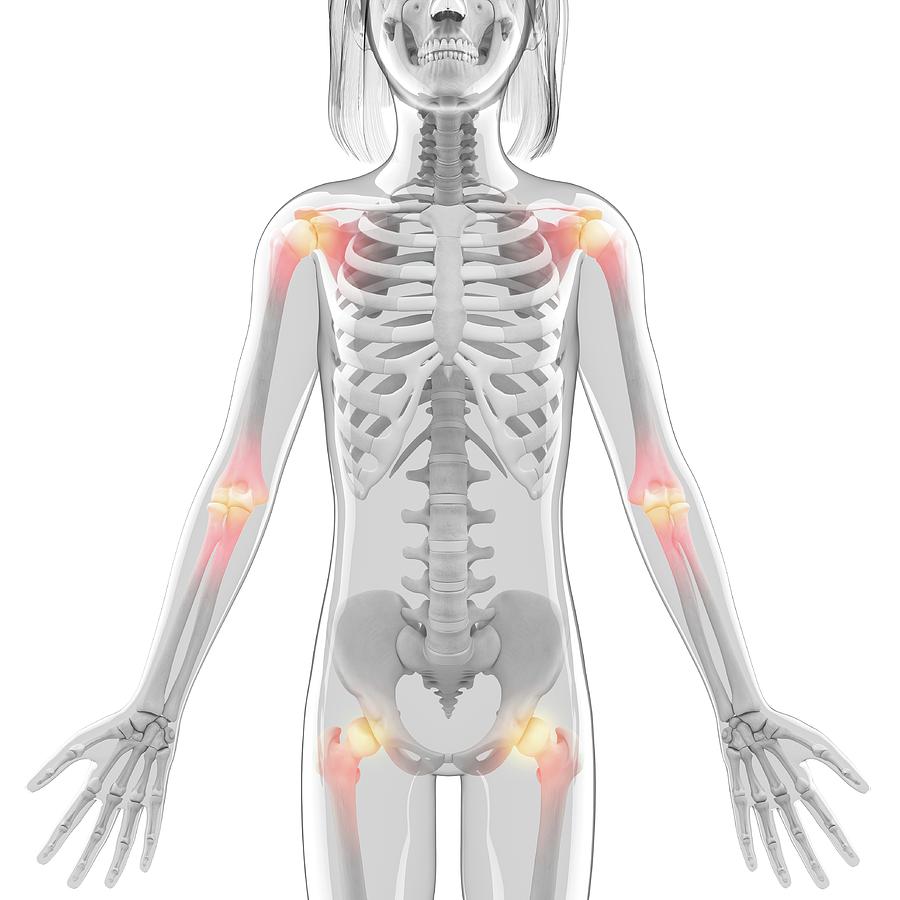 Human Joints Photograph by Pixologicstudio - Fine Art America