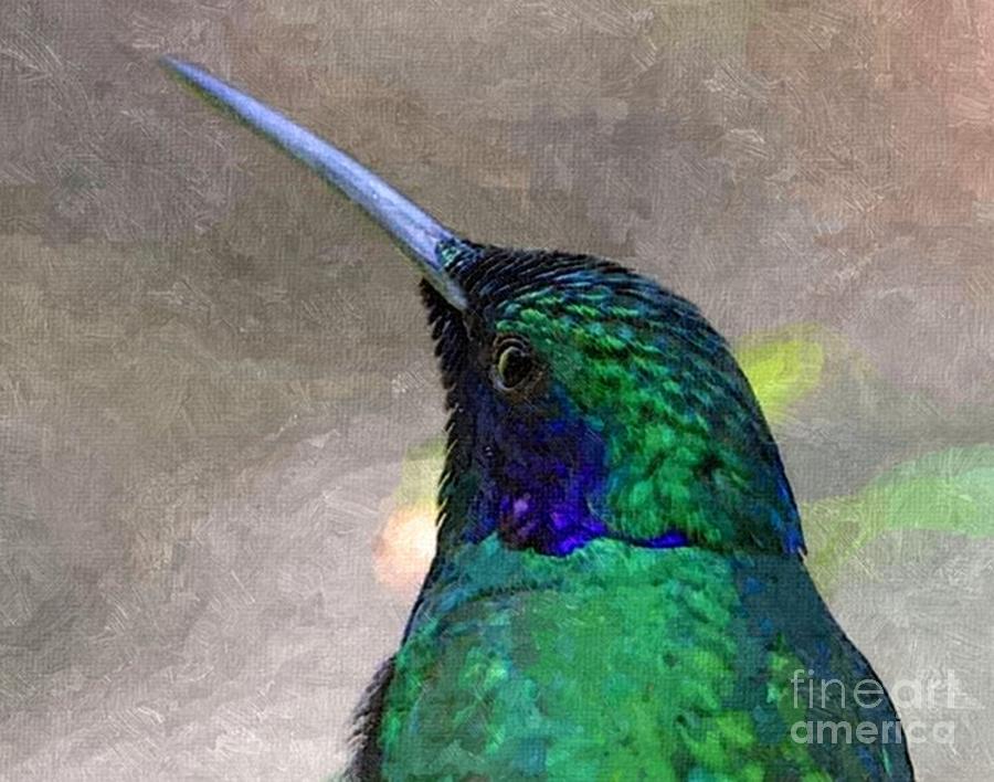 Hummingbird Head Painting by Sara Raber | Pixels