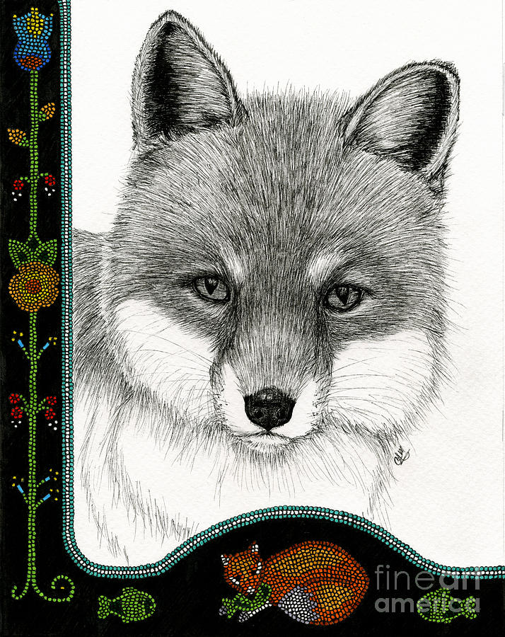 Hungry Fox Drawing by Christine Matha - Fine Art America