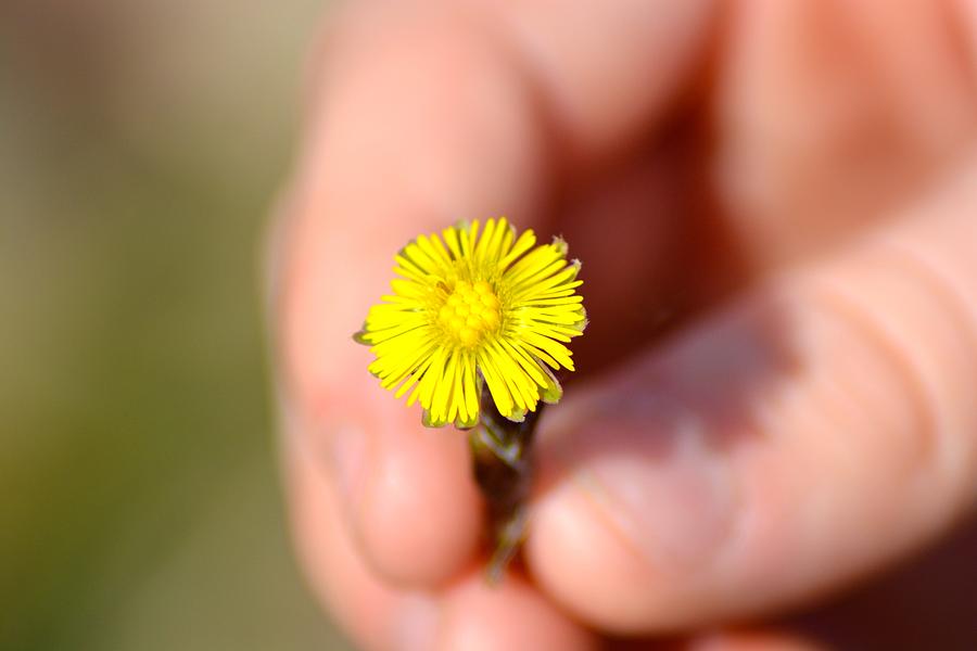 Hunter's Hand Photograph by Brian Flick - Fine Art America