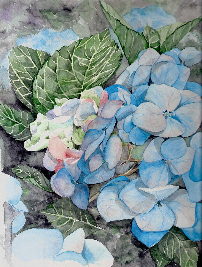 Hydrangea Painting by Janet Ritter Davies - Fine Art America