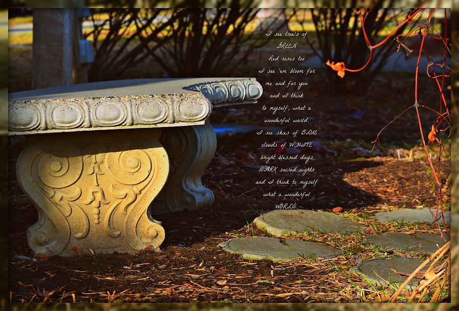 I See Tree's Photograph by Parker Entze - Fine Art America