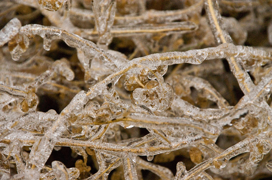 Ice Abstract II Photograph by Vernis Maxwell - Fine Art America