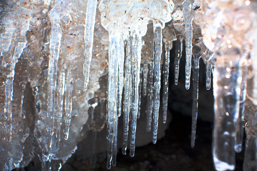 Ice Photograph by Brian Bravo - Fine Art America