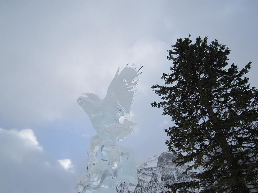 Ice Eagle Photograph by Cathy Long - Fine Art America