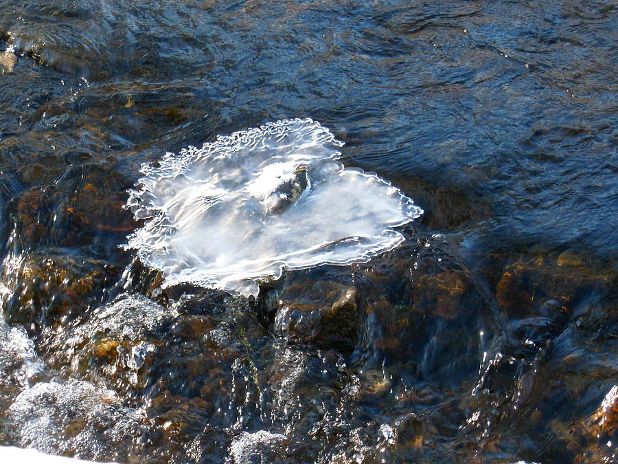 Ice Flow Photograph by Wild Thing - Fine Art America