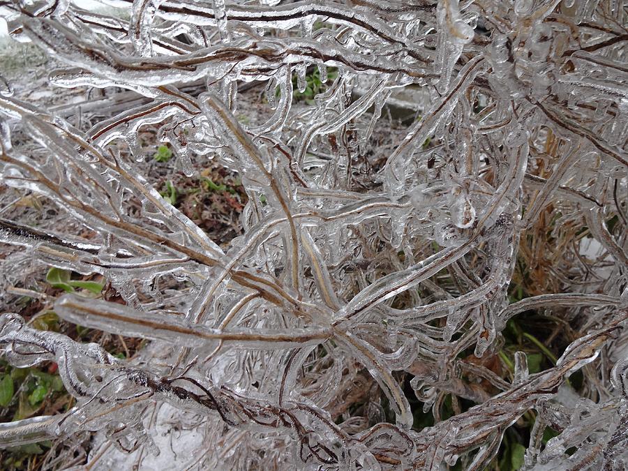 Icy day Photograph by Wendy Bering - Fine Art America