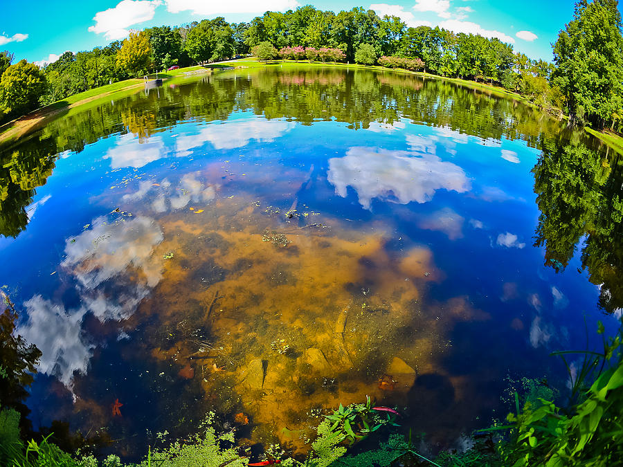 Image 29 Multi-Dimensions Photograph by David Bachman - Fine Art America