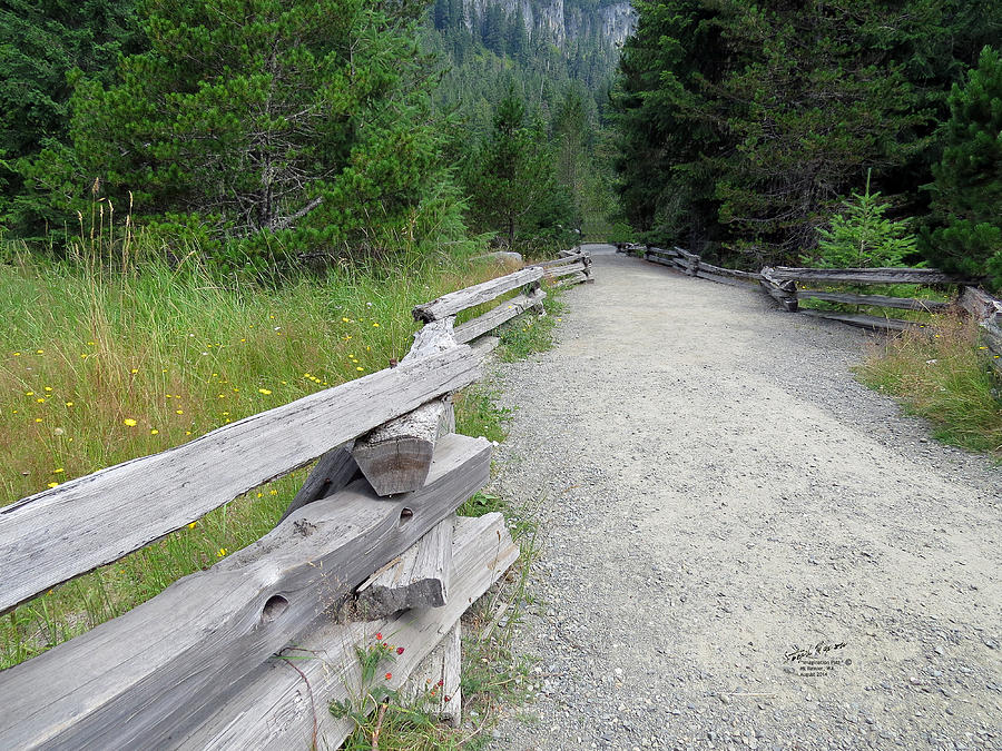 Imagination Path Photograph by Steph Maxson - Fine Art America