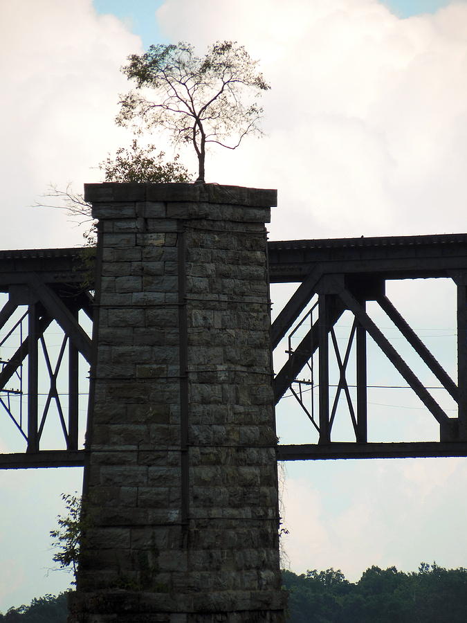 Impossible Foothold Photograph by Steve Doris - Fine Art America