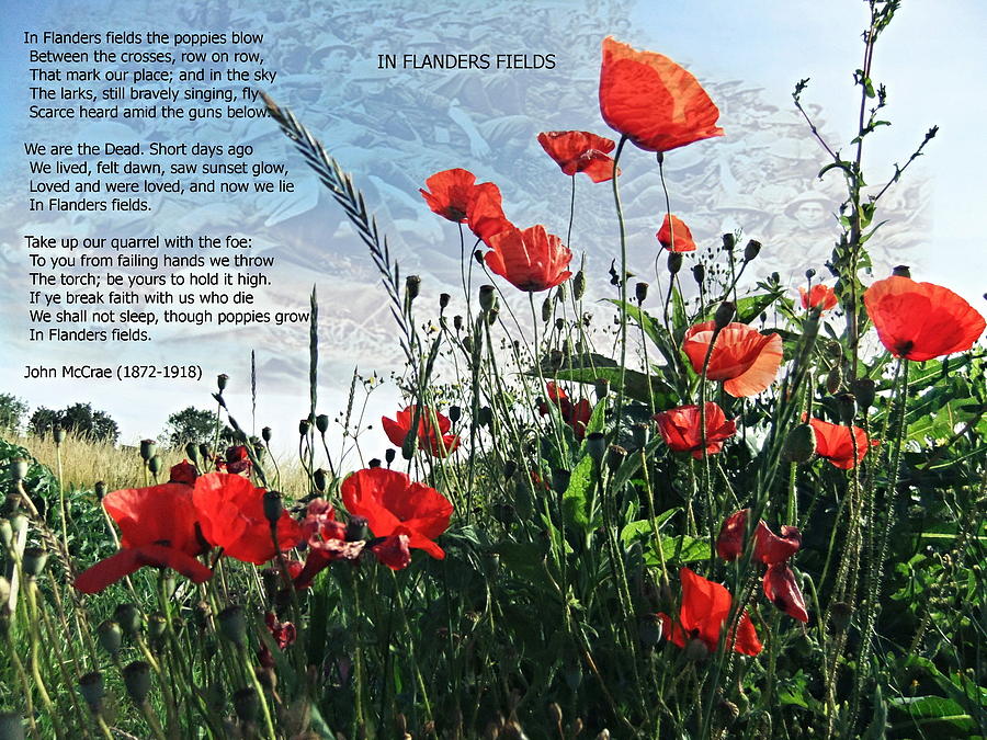 Flanders Field