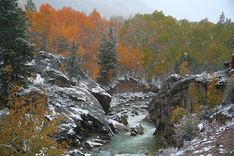 Independence Pass Photograph by Jerry Bargar - Fine Art America