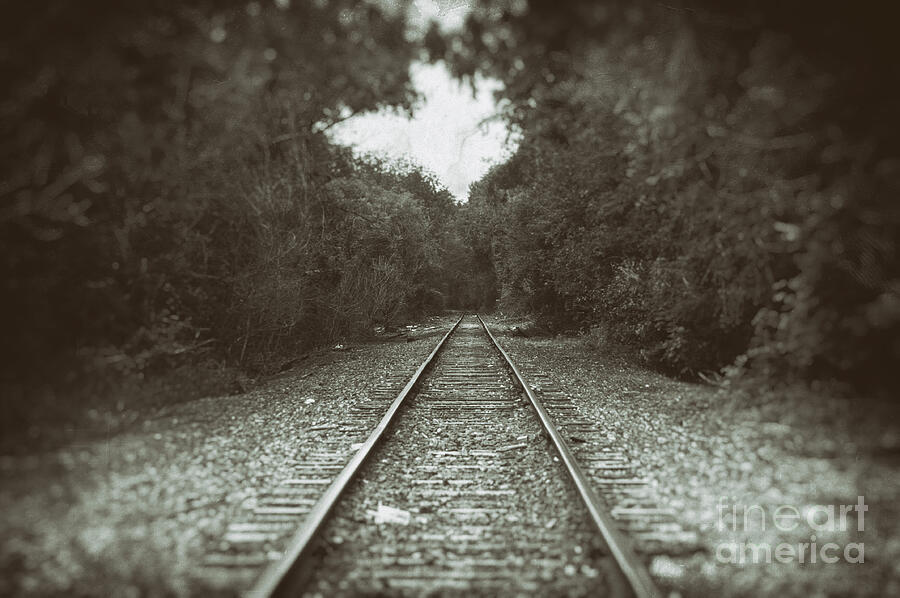 Infinity Track Photograph by James Neiss - Fine Art America