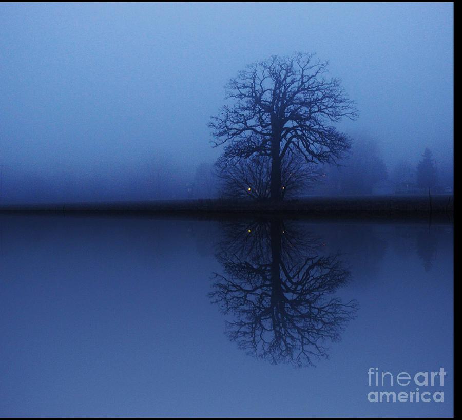Infinity Tree Reflection Photograph by Andrea Schaefer - Fine Art America
