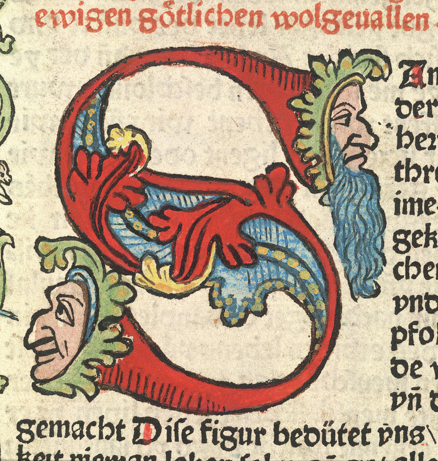 Initial 's' Photograph by British Library