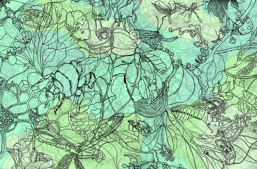 Insects Digital Art by David Bushell - Fine Art America