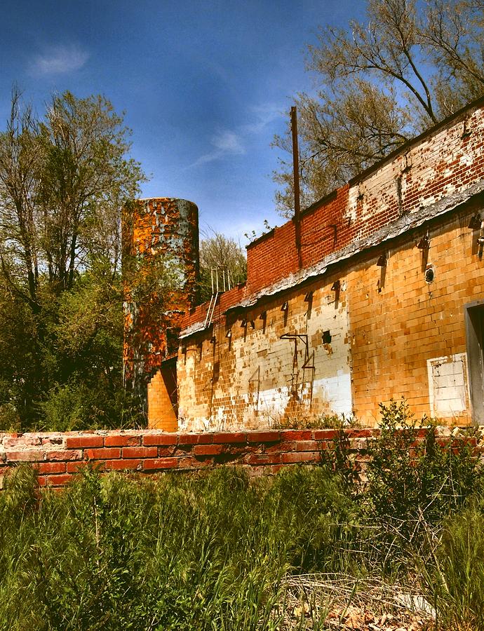 Insidious III Photograph by Lynne and Don Wright - Fine Art America