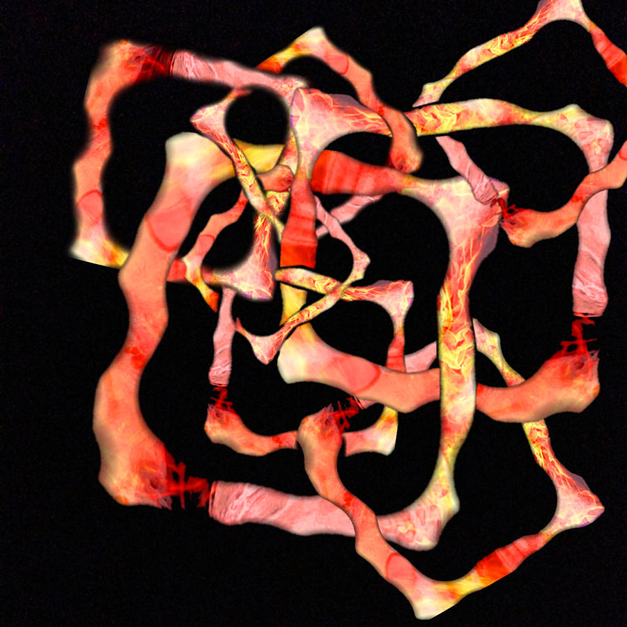 Interlocking 2 Digital Art by D Preble - Fine Art America