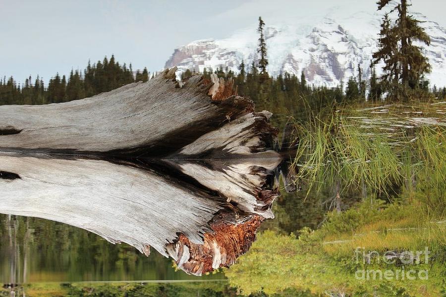 Inverse Digital Art by Kyle Betts - Fine Art America
